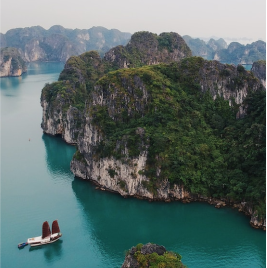 Vietnam Career – Global Reach | FPT Software Career